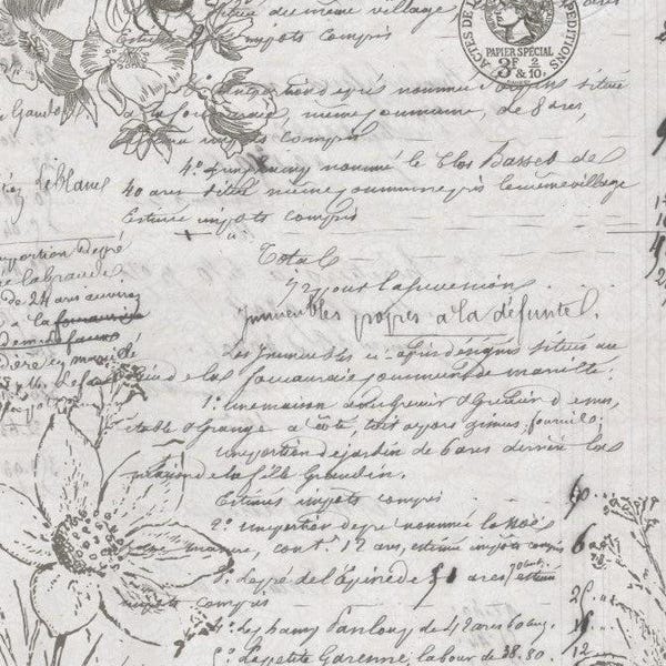 Natural History Wrapping Paper - Etsy