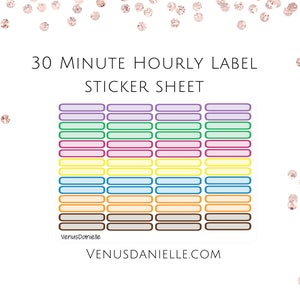 30 Minute Hourly Planner Stickers, EC Hourly, Appointment Label ...