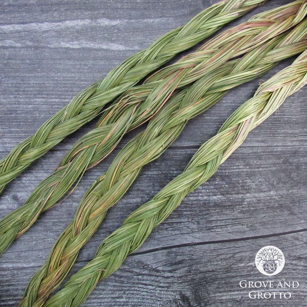 Sweetgrass Braid - Etsy