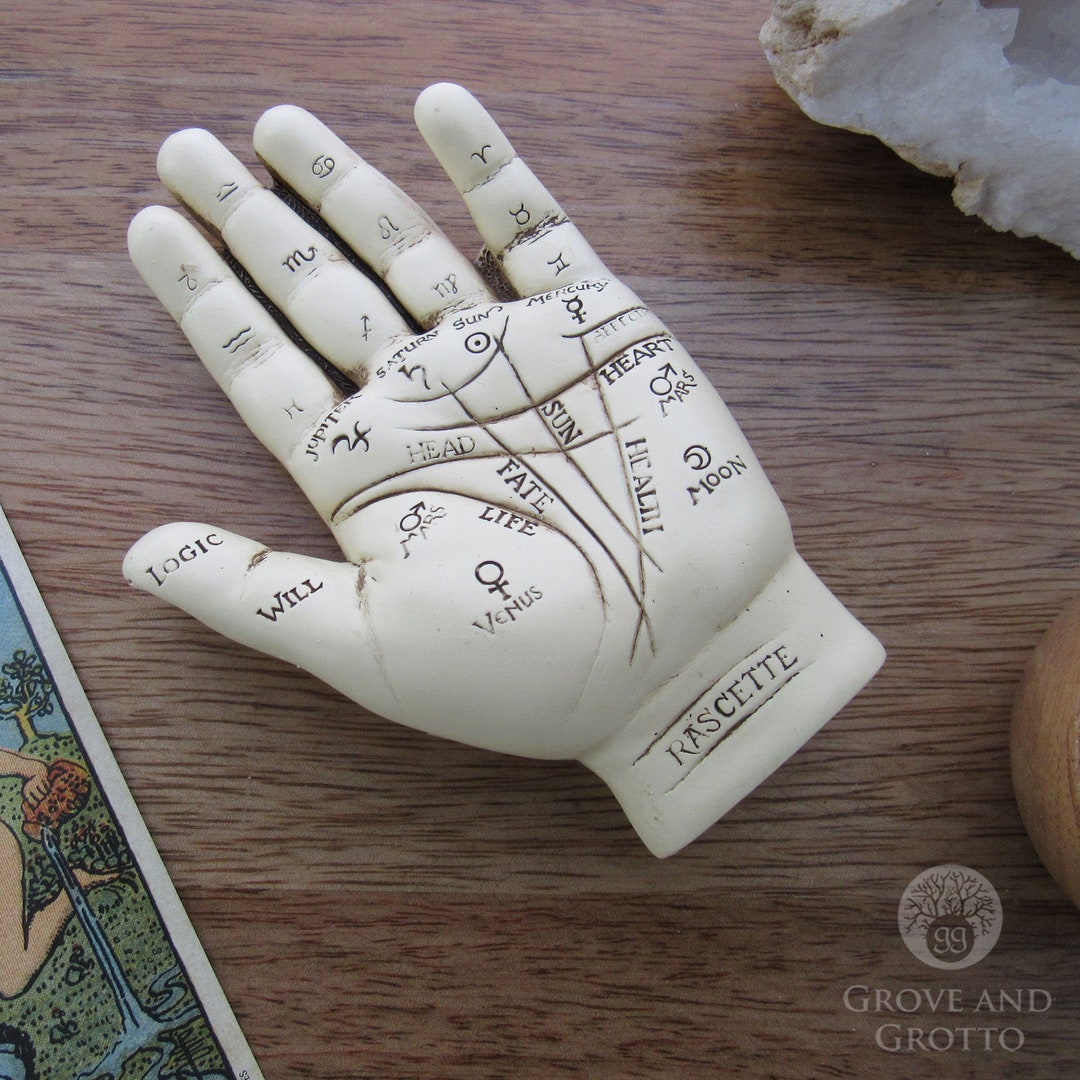 Palmistry Hand with Mini Palmistry Guide - Etsy
