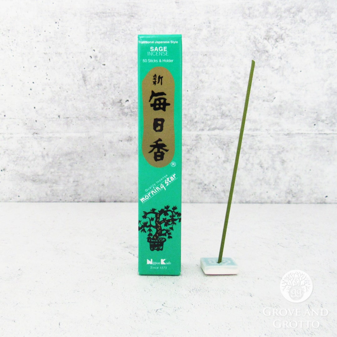 Sage Incense Sticks by Morning Star box of 50 With Ceramic Holder - Etsy