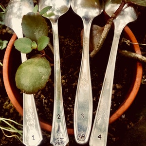 Spoon Poetry Series - Wedding Gift - Shower Gift - Coffee Spoons - Love ...