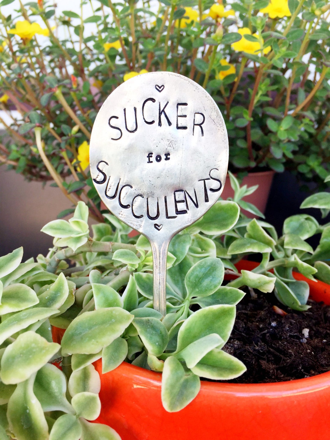 Stamped Spoon, Garden Marker, Succulent, Stamped Silver, Gardener Gift ...