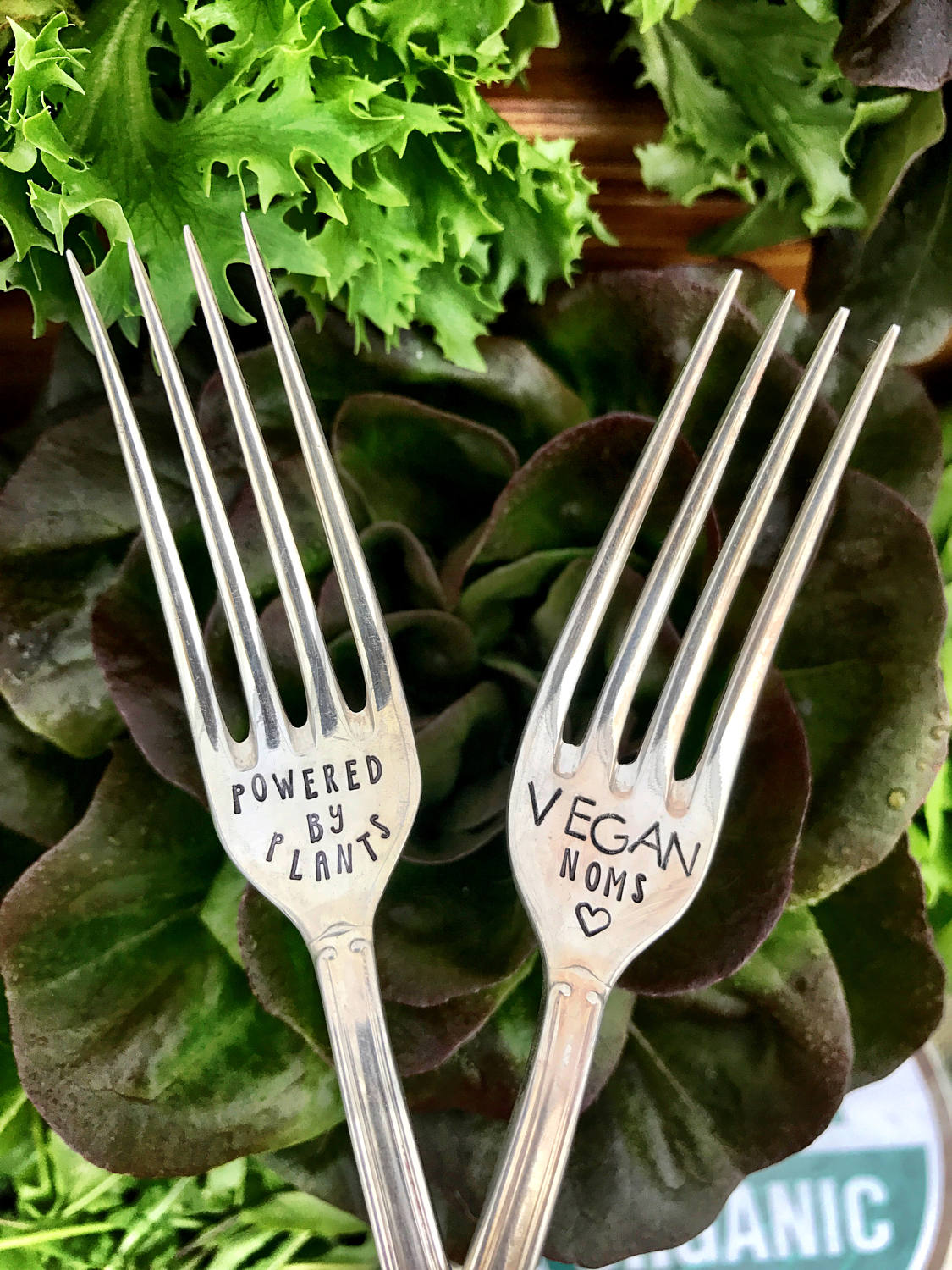 Vegetarian Gift Vegan Gift Powered by Plants Vegan Noms - Etsy