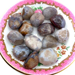 Rare BLUE FLOWER AGATE Tumbled Stone, Blue Cherry Blossom Agate ...
