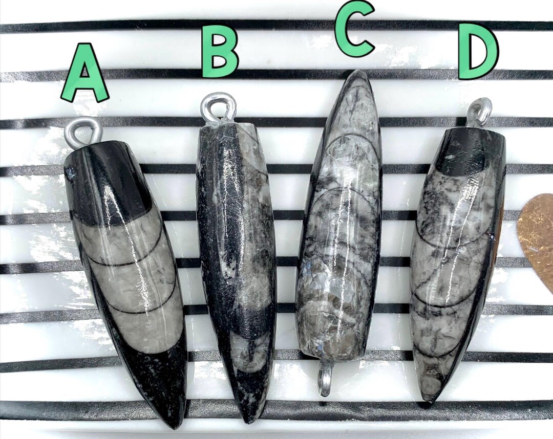 Orthoceras Fossil Bullet Point Pendant // Orthoceras Spike Pendant ...