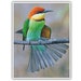 Custom Made Cross Stitch Pattern Photo Realistic Cross Stitch Pattern ...