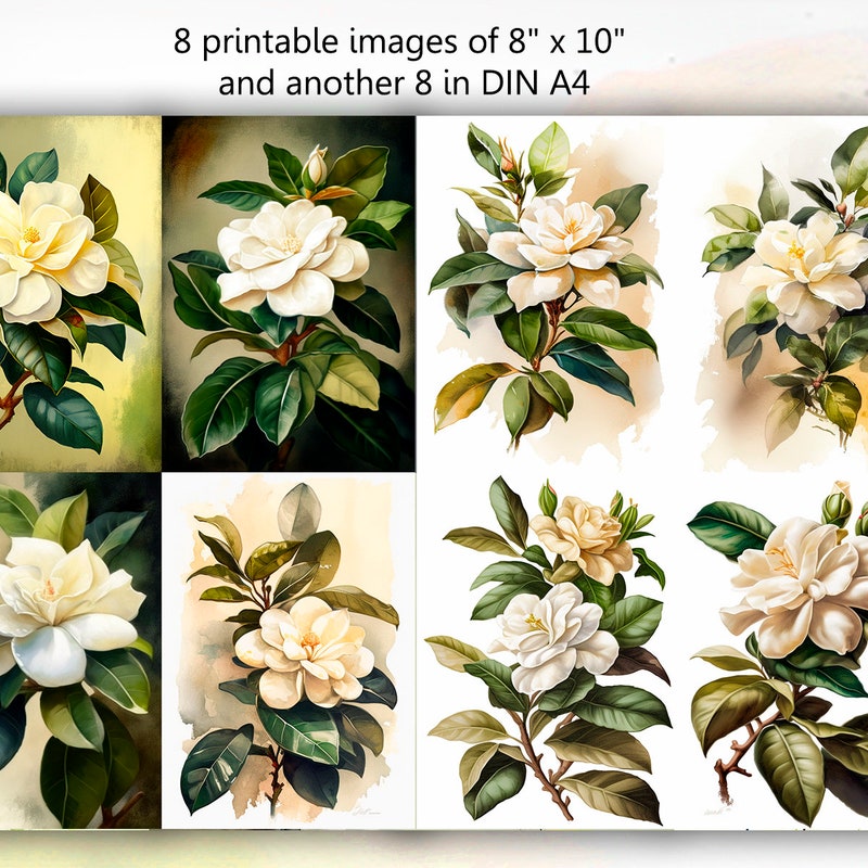 Gardenia Print - Etsy