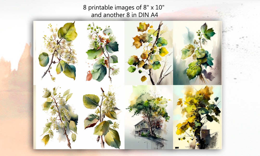 Linden Downloadable Watercolor Botanical Art - Linden Plant in 8"x 10 ...