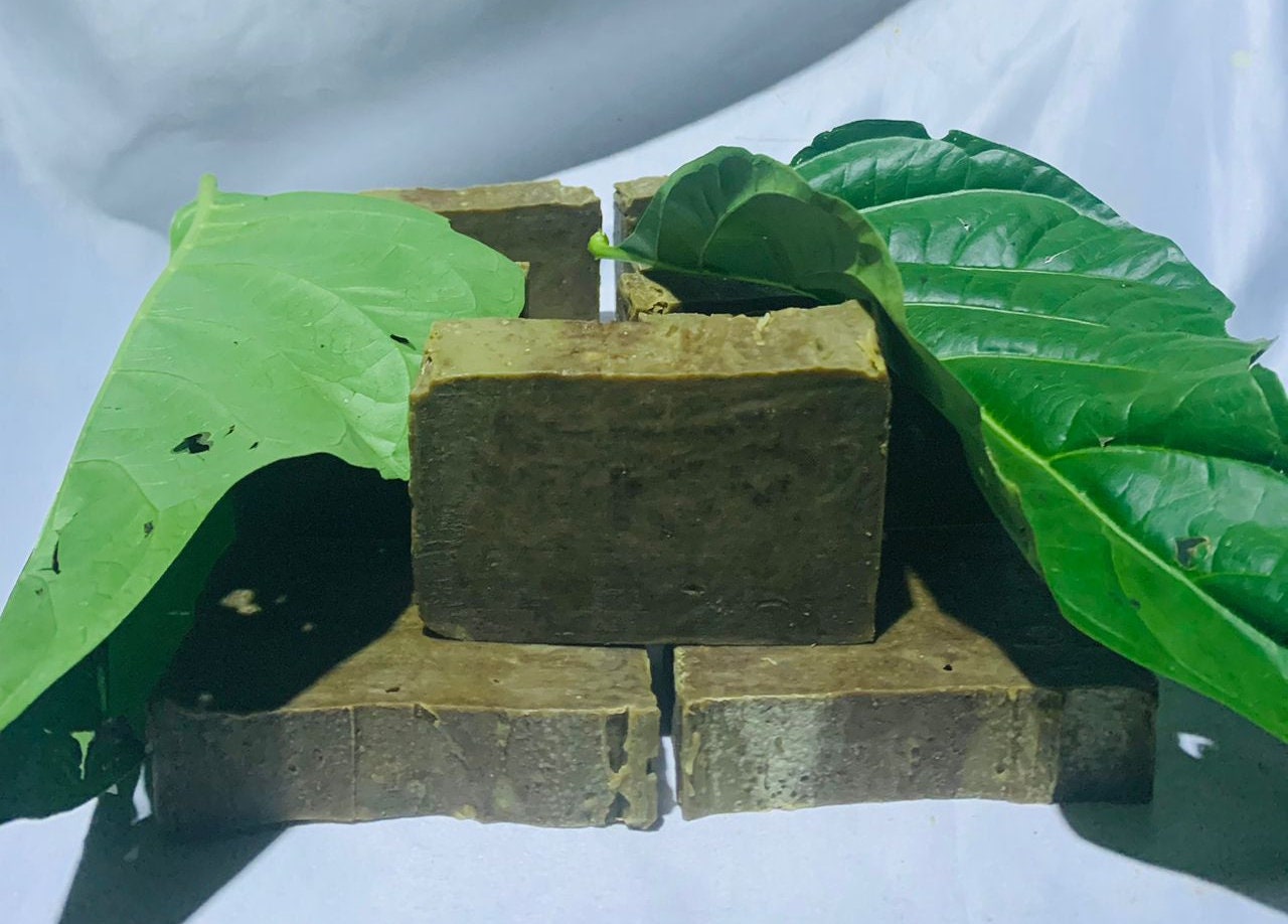 Set of 3 Bars. NONI SOAP/ Fresh Noni Leaves/ Fresh Noni Fruit/fresh ...