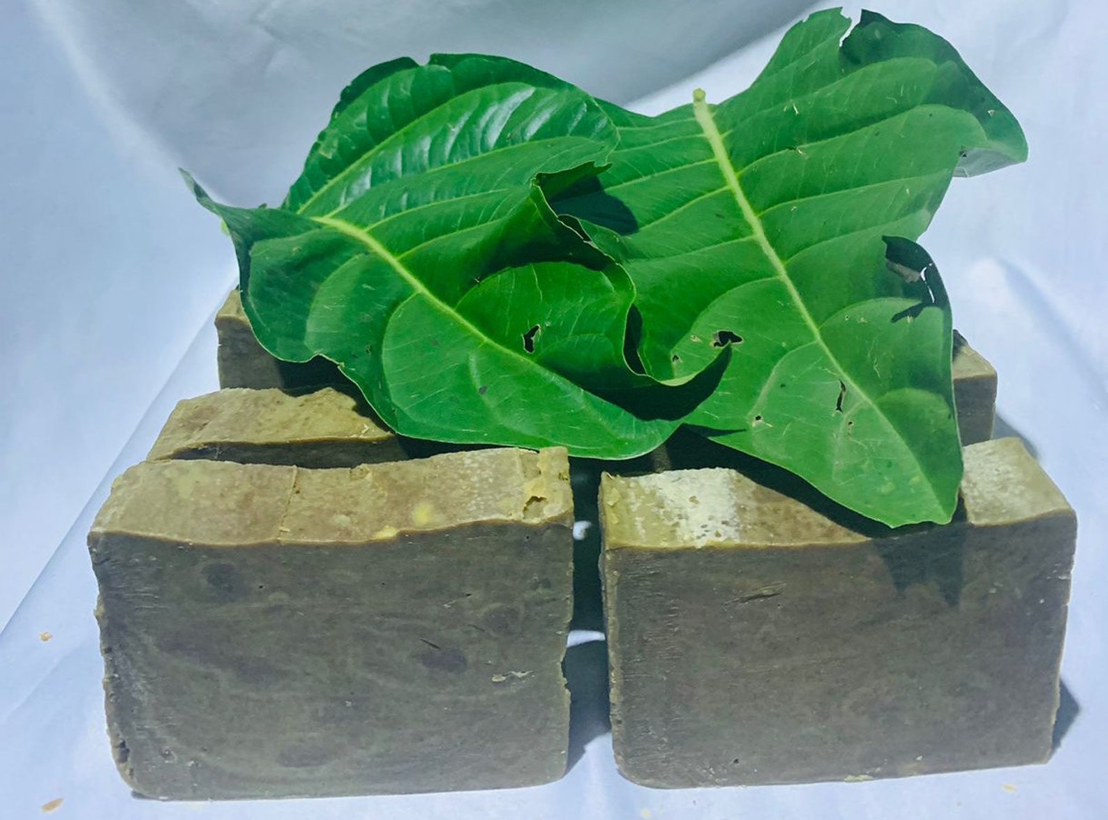 Set of 3 Bars. NONI SOAP/ Fresh Noni Leaves/ Fresh Noni Fruit/fresh ...