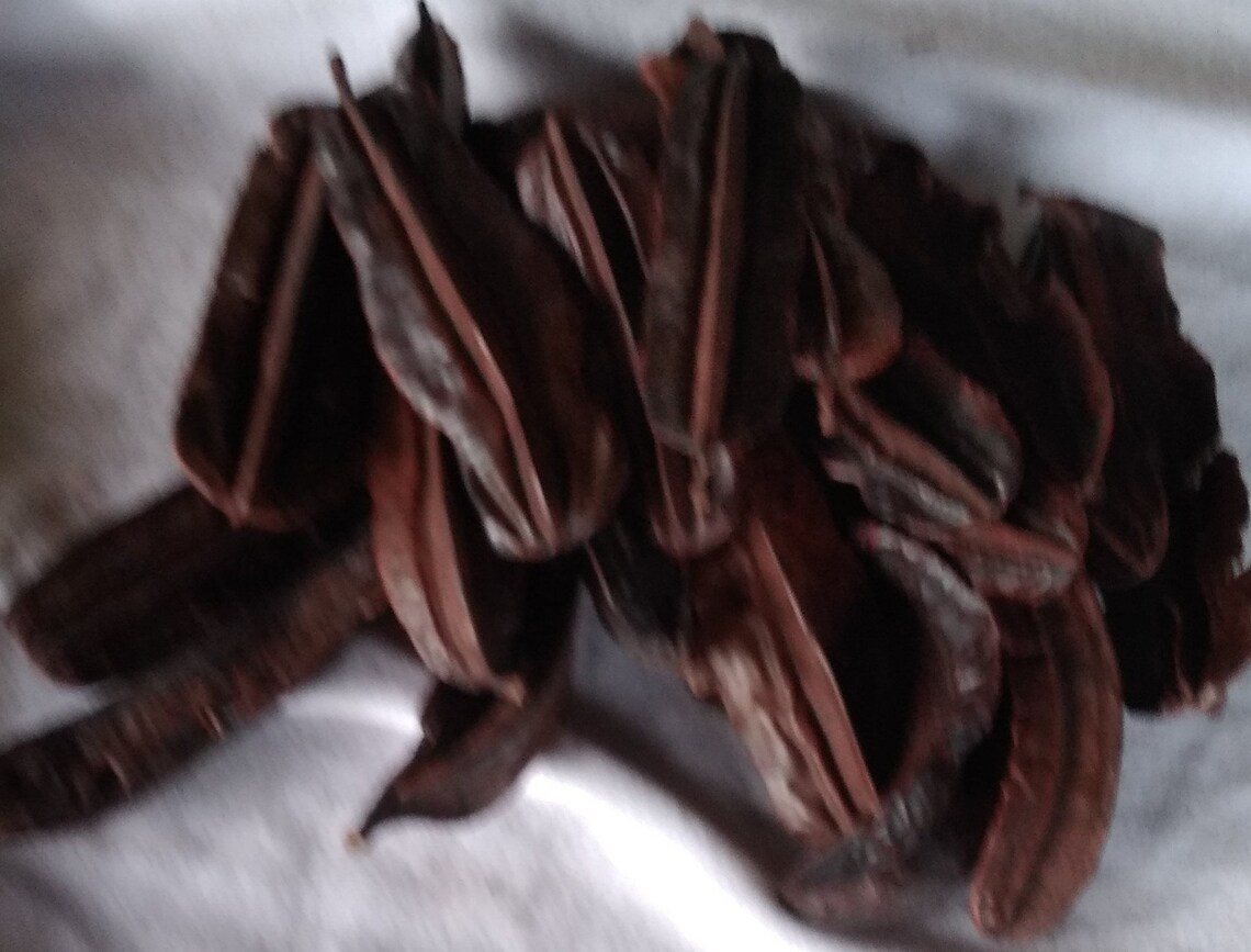 PREKESE /15 Pods/tetrapleura Tetraptera) /super Food/ / Spice / Tea/ - Etsy