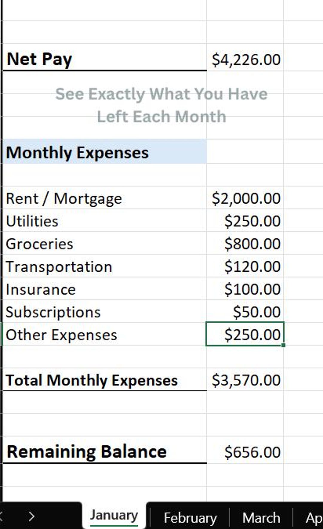 Healthcare Paycheck & Expense Tracker | Monthly Budget Planner Template ...