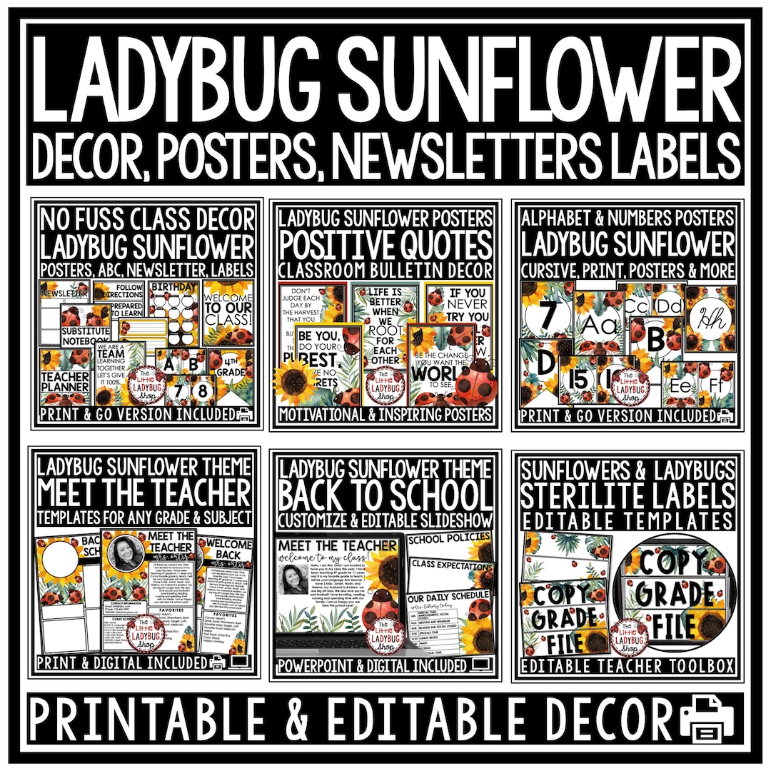 Ladybug Sunflower Theme Classroom Decor Bundle | Ladybug Sunflower ...