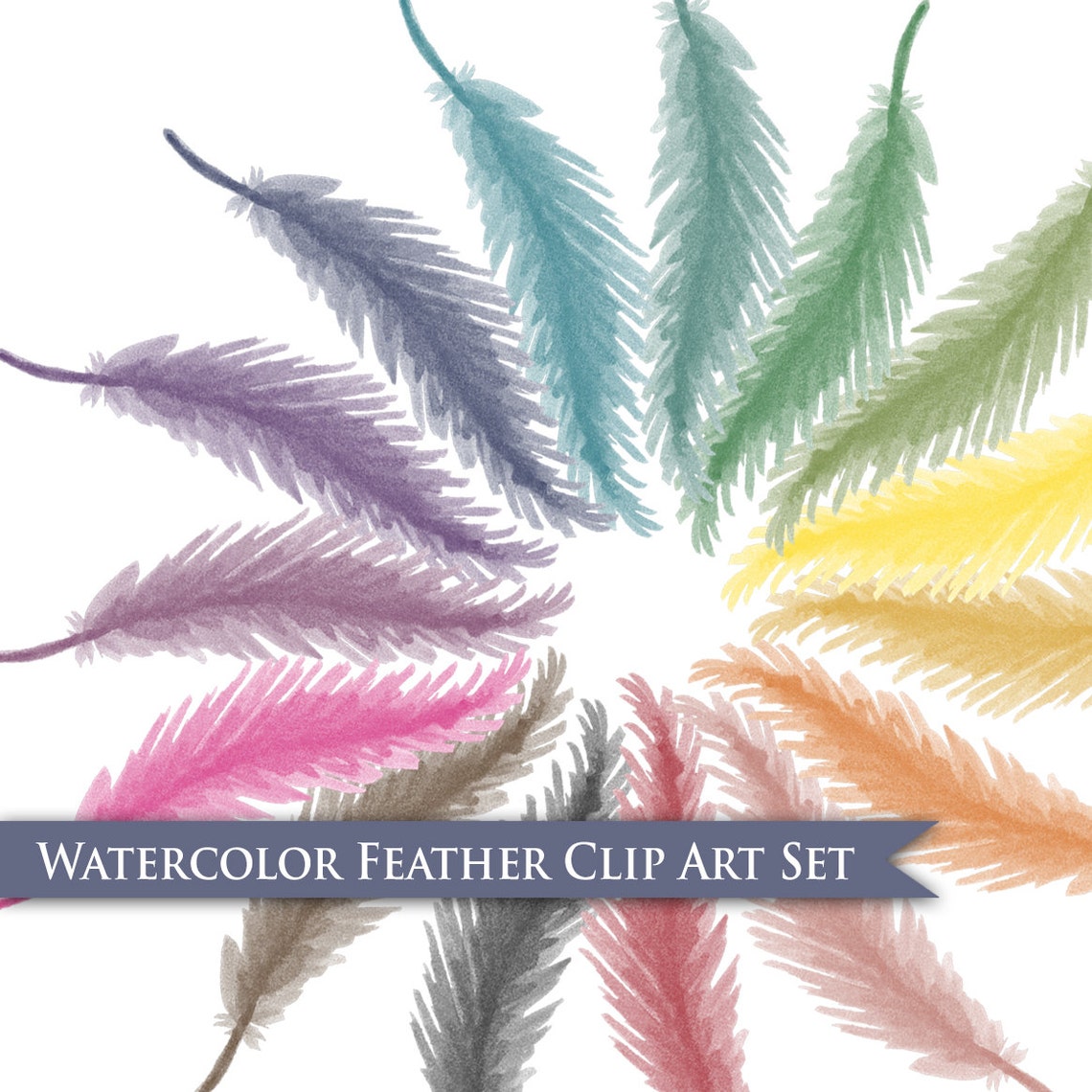 Watercolor Feather Clip Art Digital Clipart PNG Hand Painted | Etsy