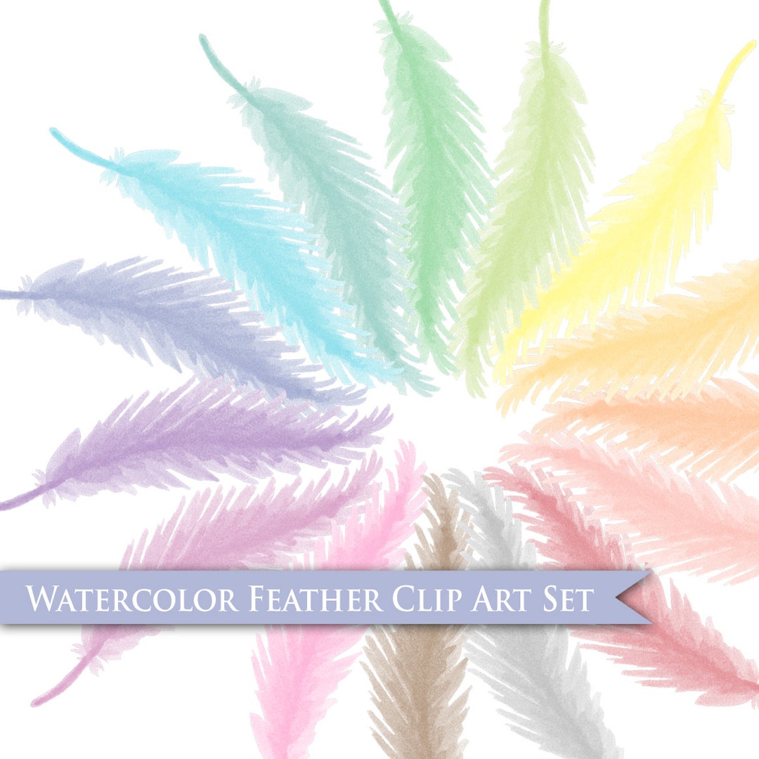 Watercolor Feather Clip Art - Digital Clipart PNG Hand Painted Images ...