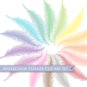 Watercolor Feather Clip Art - Digital Clipart PNG Hand Painted Images ...