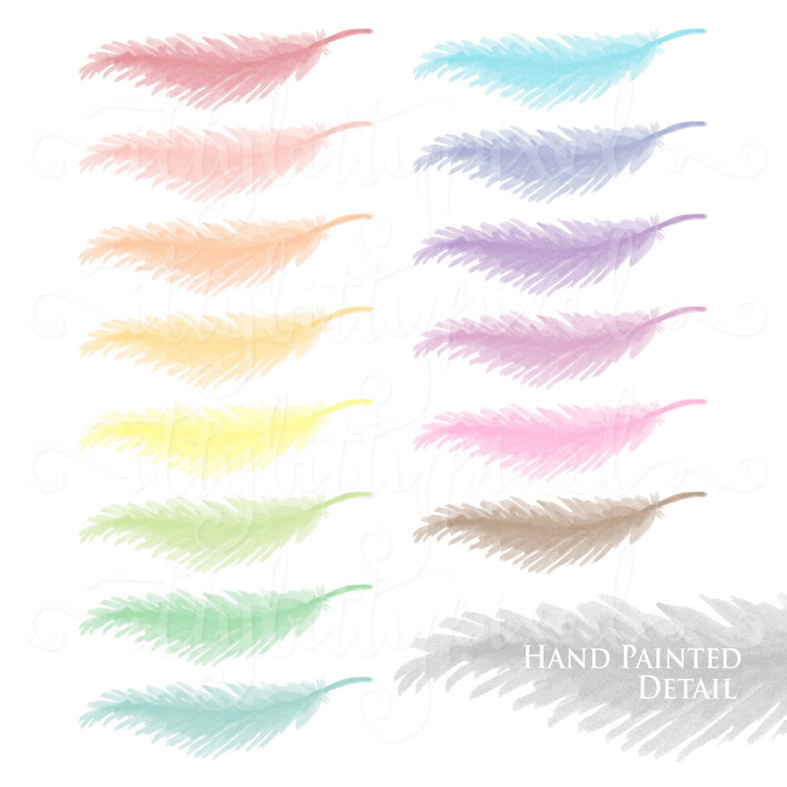 Watercolor Feather Clip Art Digital Clipart PNG Hand Painted - Etsy