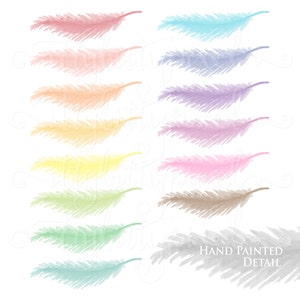Watercolor Feather Clip Art - Digital Clipart PNG Hand Painted Images ...