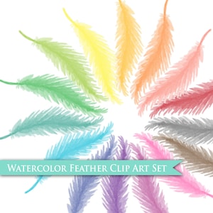 Watercolor Feather Clip Art - Digital Clipart PNG Hand Painted Images ...