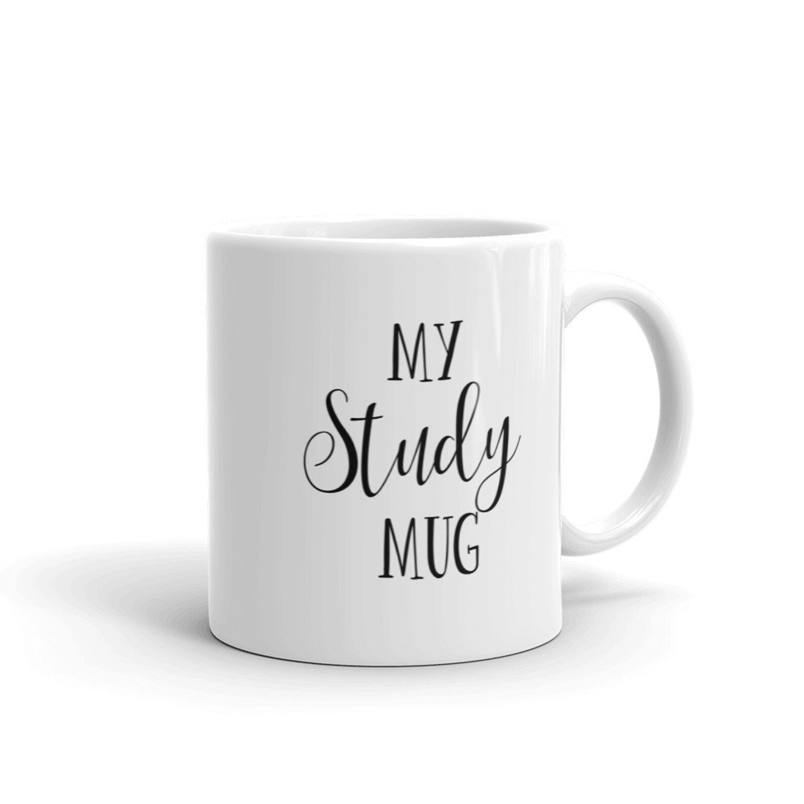 My Study Mug Funny Mug | Etsy