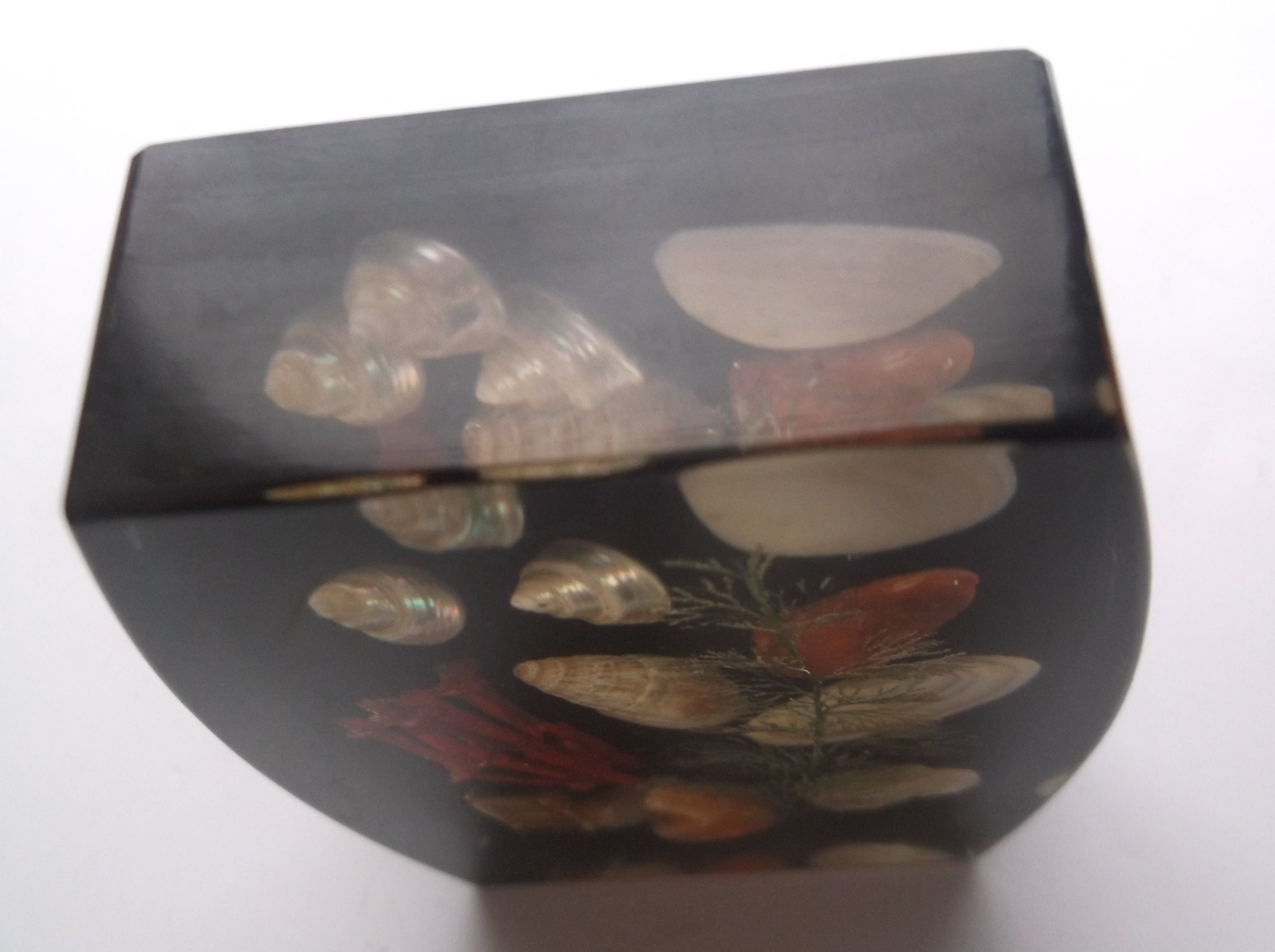 Vintage Lucite Paperweight With Encapsulated Sea Life Items - Etsy UK