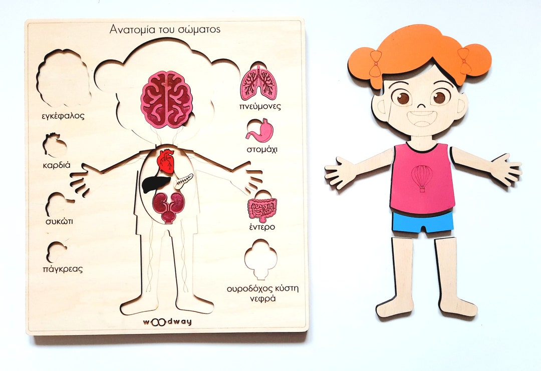 Wooden Human Anatomy Puzzle Girl | Human Body Anatomy |montessori ...