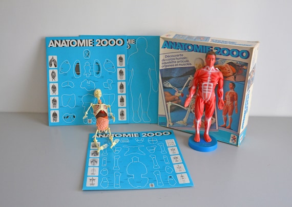 Vintage Human Body Anatomical Skeleton Anatomy 2000 French - Etsy