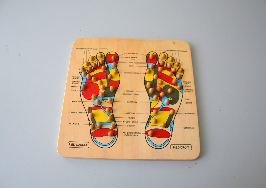 The Map of the Foot, French Anatomical Board Drawing for Massage ...