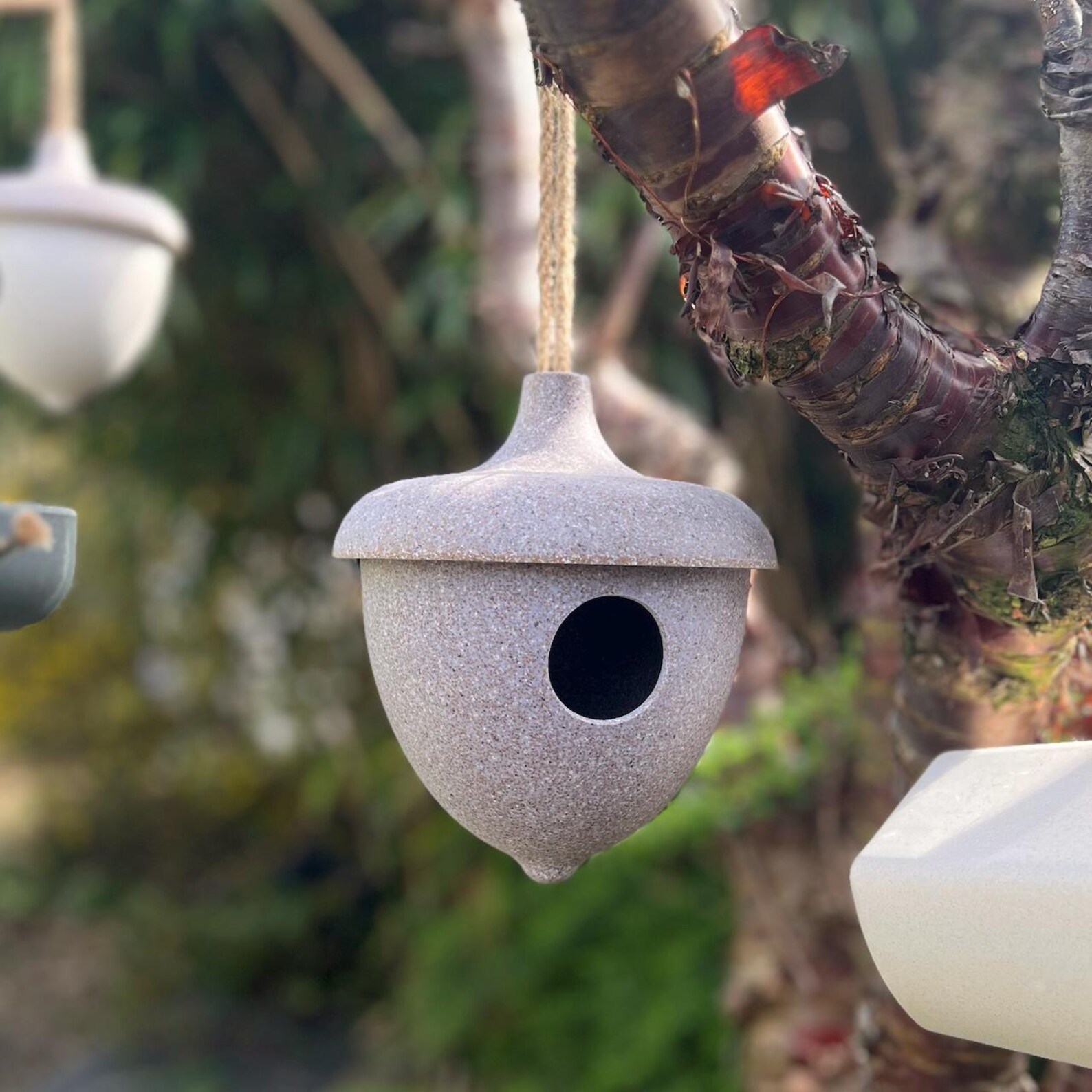 Recycled Nut Husk Bird House - Etsy