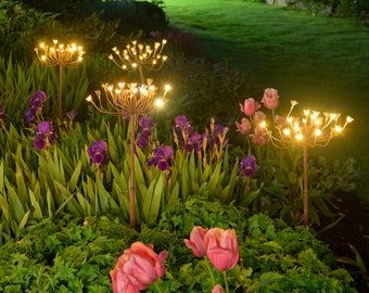 Solar Wild Fennel Light - Etsy