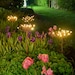 Solar Fennel Light - Etsy