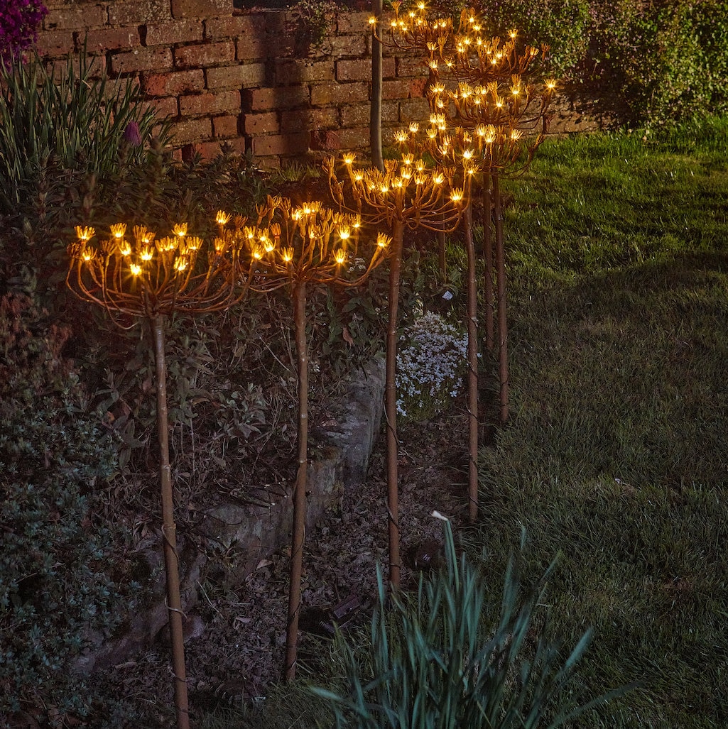 Solar Fennel Light - Etsy