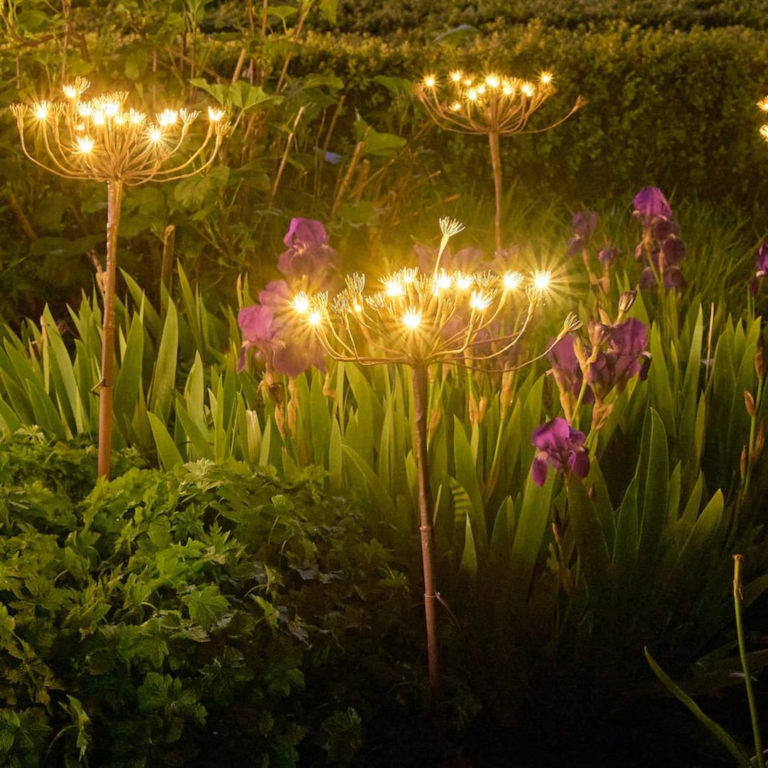 Solar Fennel Light - Etsy