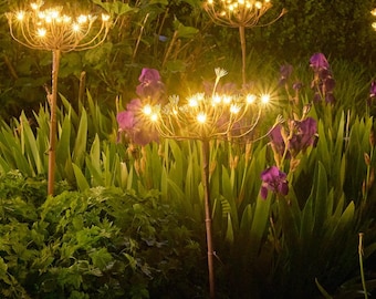Solar Fennel Light - Etsy