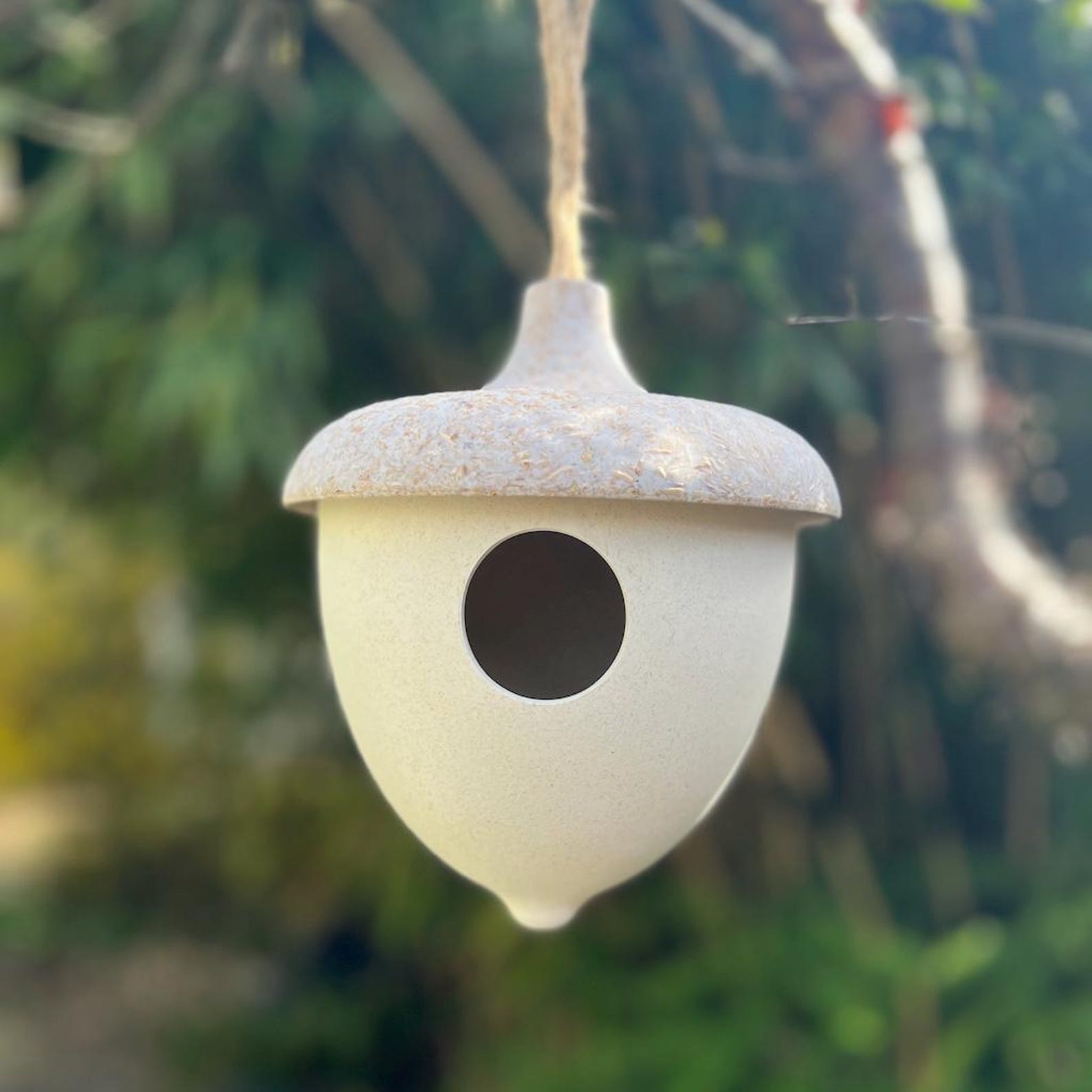 Recycled Nut Husk Bird House - Etsy