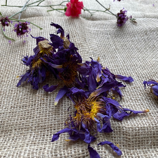 Lotus Products - Etsy