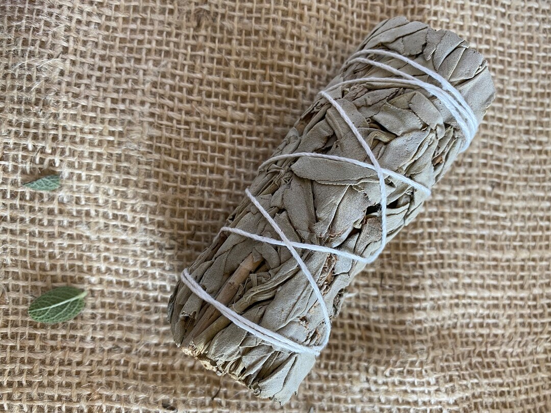 Californian Sage Smudge Stick - Dry Sage Herb Incense Stick 4 Inch ...