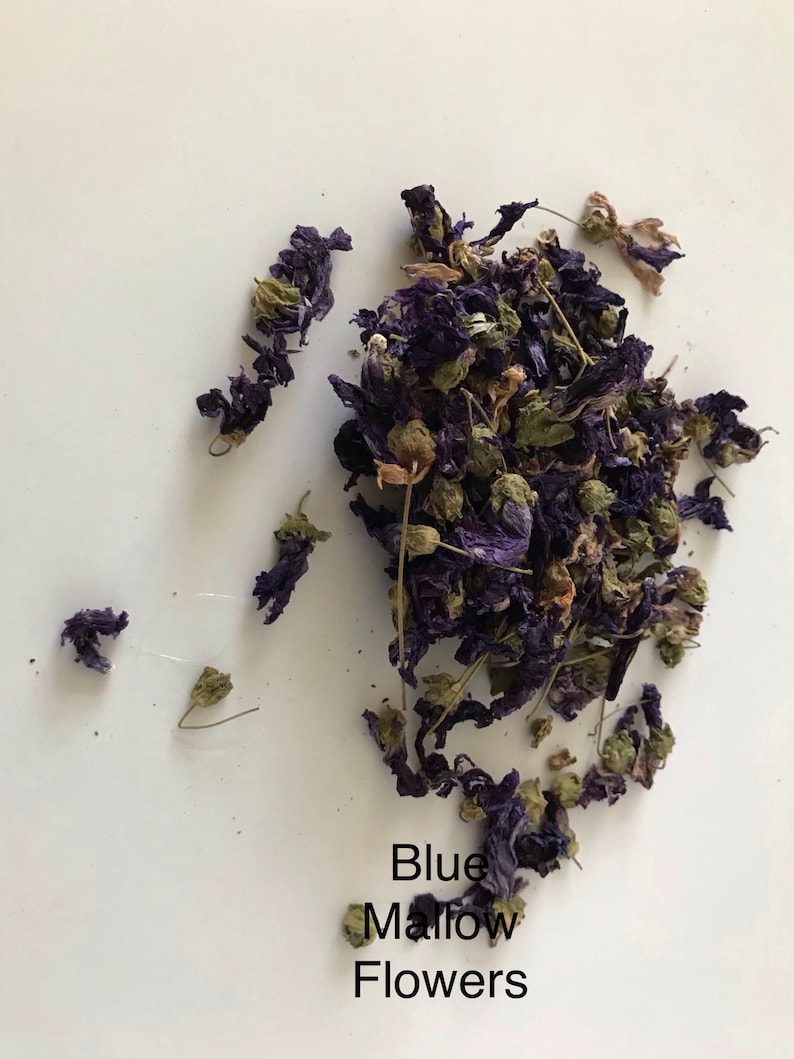 Blue Mallow Flowers 10g Herbal Tea Infusion Tisane. Craft - Etsy