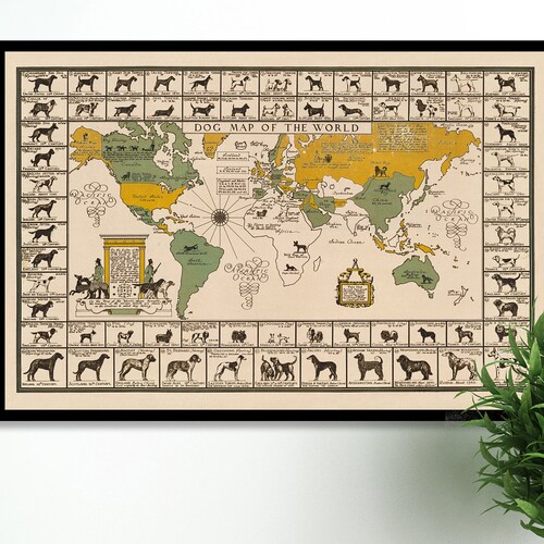 1935 Dog Map of the World Dog Breeds Print Dog Breeds Origin - Etsy