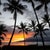 Hawaii Sunset Palm Trees by Dan Merkel Photography Print Poster Canvas ...