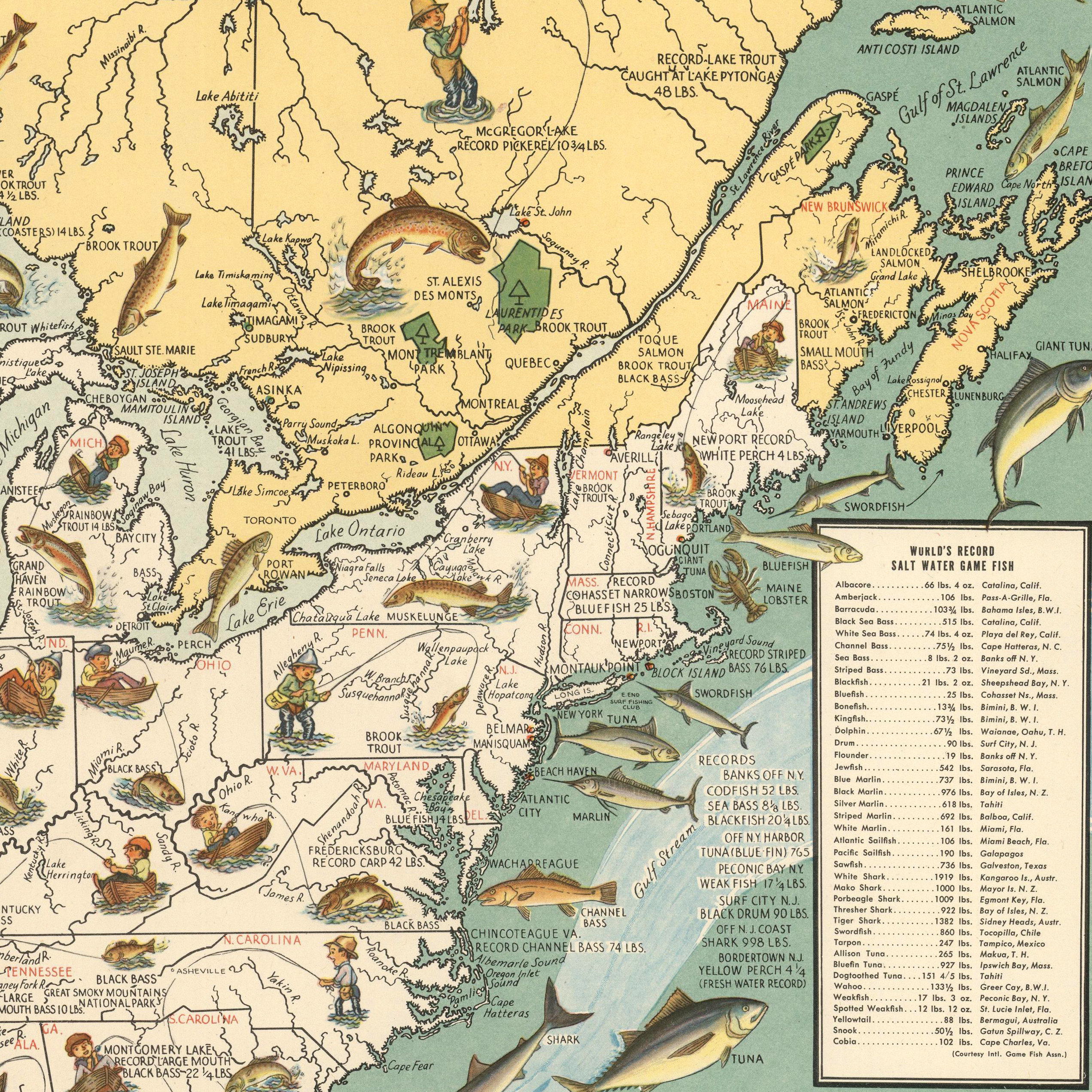 BIG Game FISH Map 1936 Fish Map of the United States Salt - Etsy