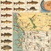 BIG Game FISH Map 1936 Fish Map of the United States, Salt and Fresh ...