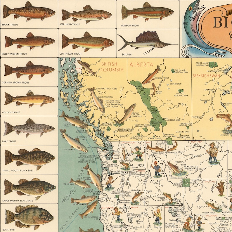 BIG Game FISH Map 1936 Fish Map of the United States Salt - Etsy