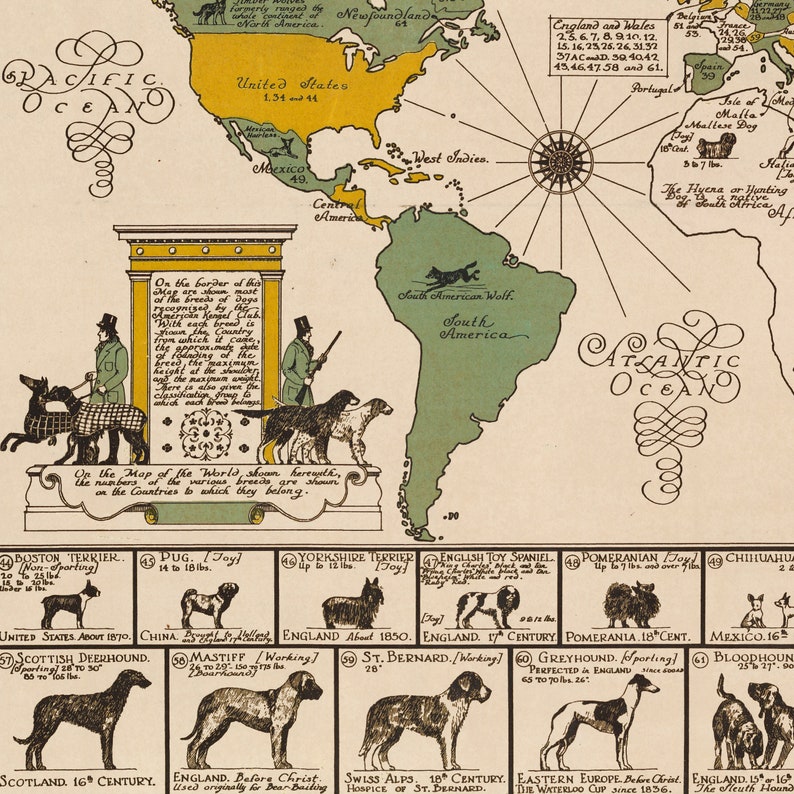 1935 Dog Map of the World, Dog Breeds Print, Dog Breeds Origin Map, Dog ...