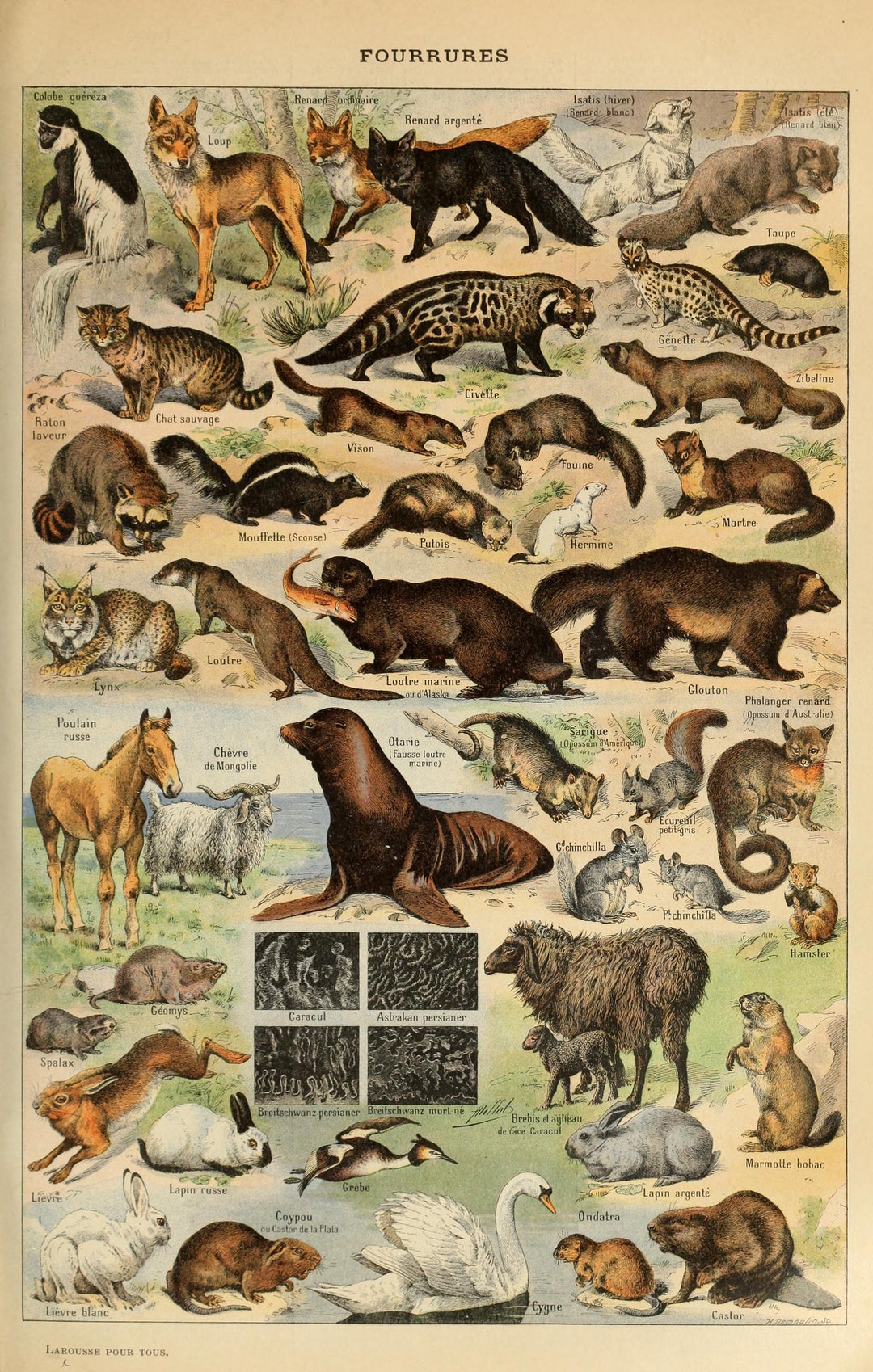 French FOURRURES by Adolphe Millot Vintage French Poster of FURS ...