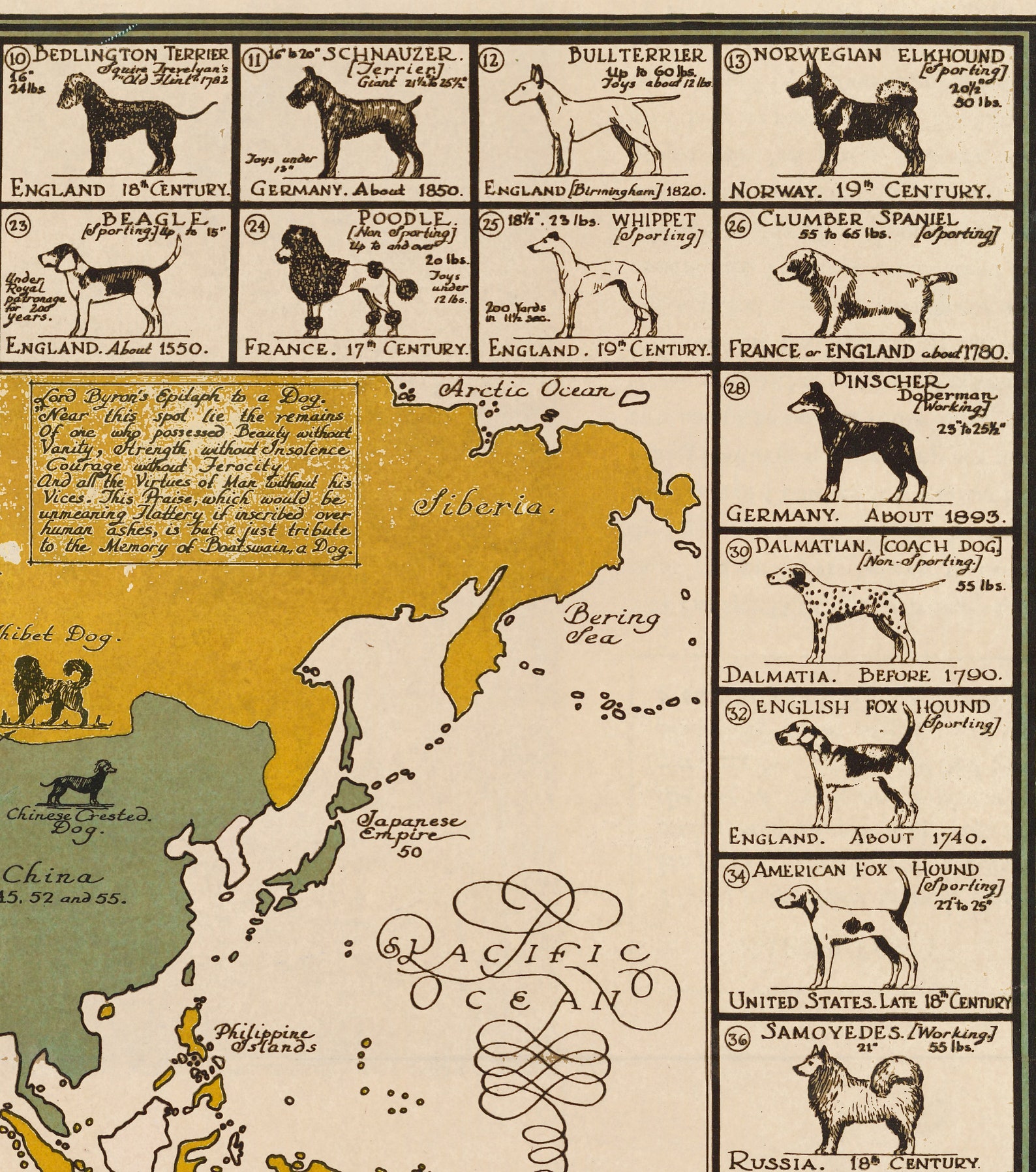 1935 Dog Map of the World Dog Breeds Print Dog Breeds Origin - Etsy