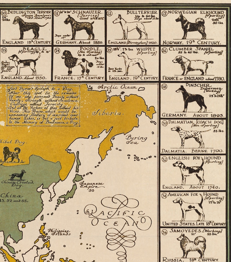 1935 Dog Map of the World Dog Breeds Print Dog Breeds Origin - Etsy