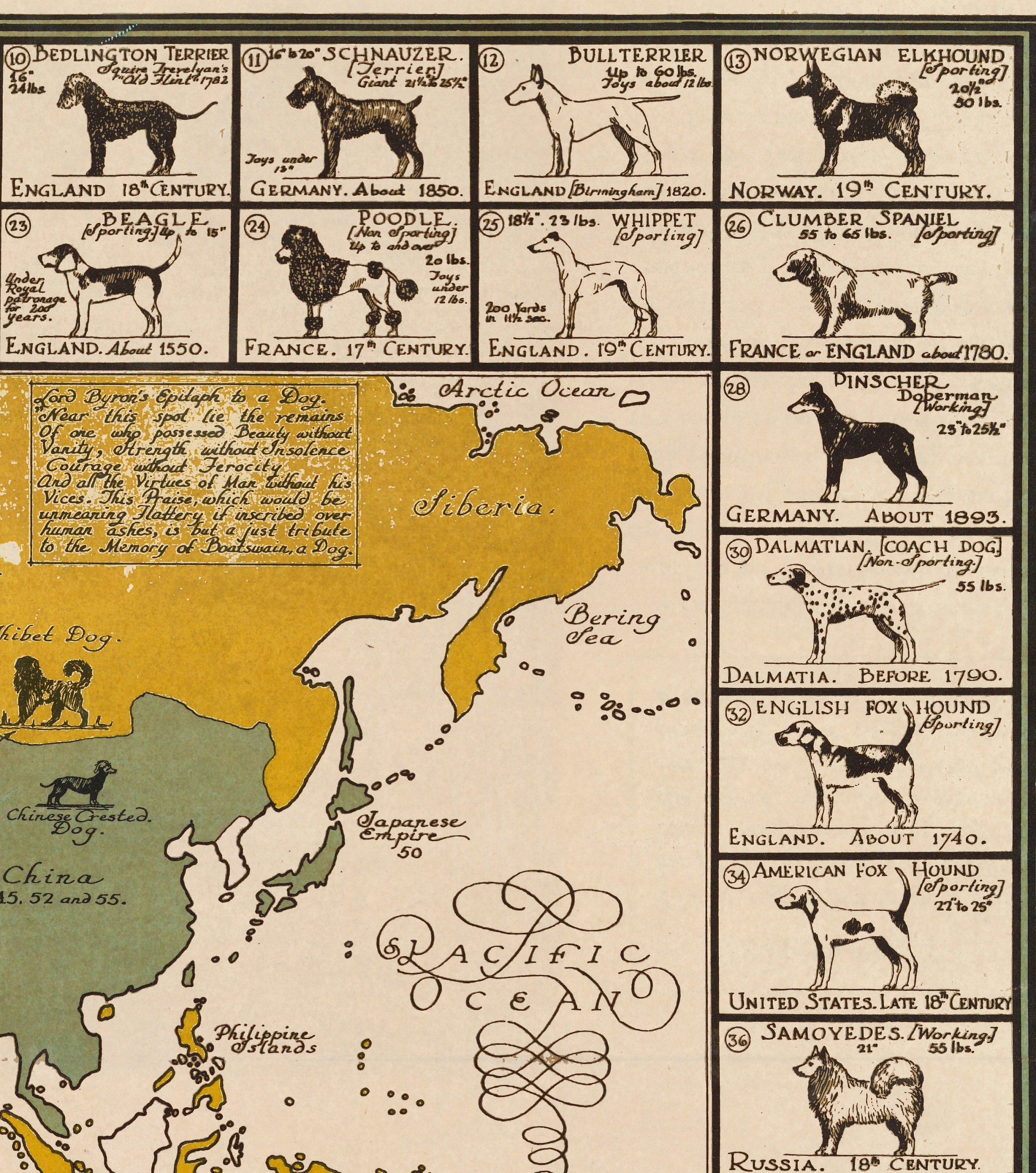 1935 Dog Map of the World Dog Breeds Print Dog Breeds Origin - Etsy