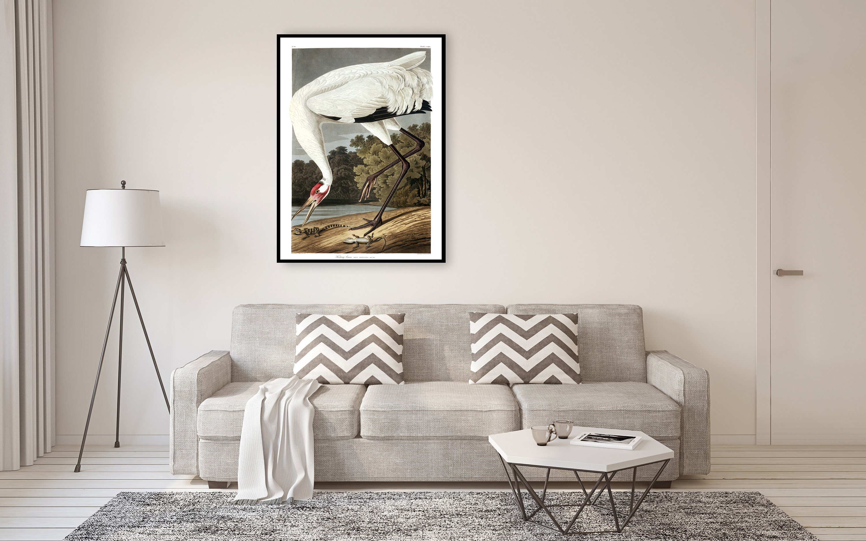 Whooping Crane Whooping Cranes Hooping Crane Audubon Crane - Etsy